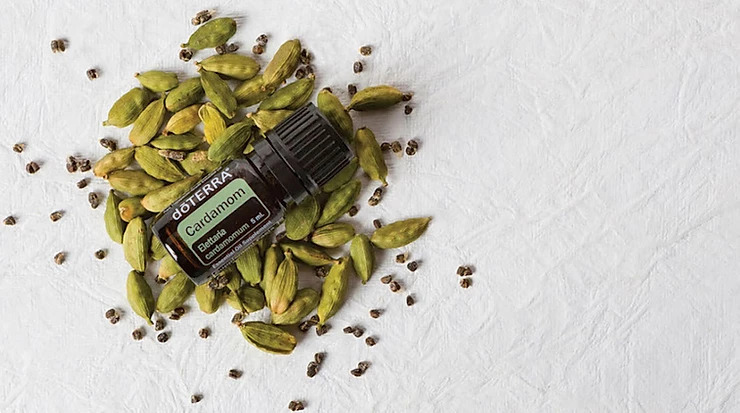 Benefícios do óleo essencial de cardamomo para a saúde – Gotas daTerra
